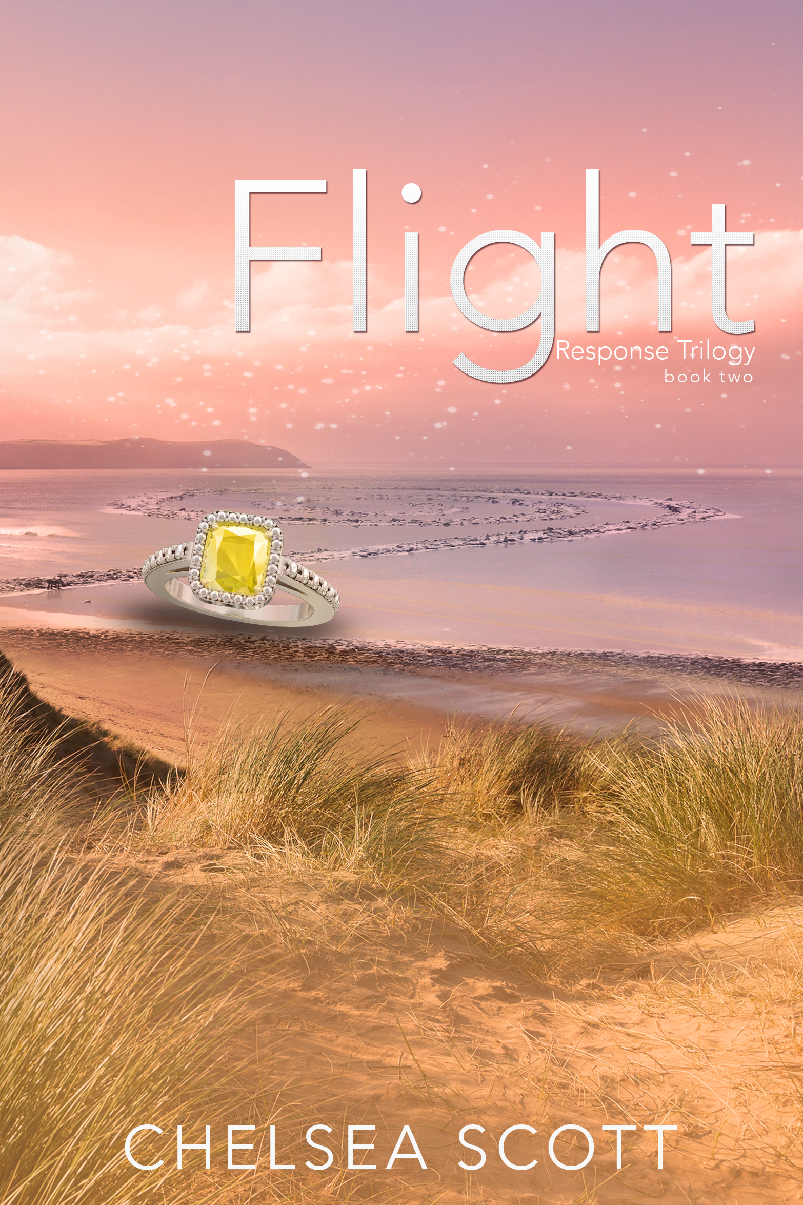 Chelsea Scott Books – Author Chelsea Scott